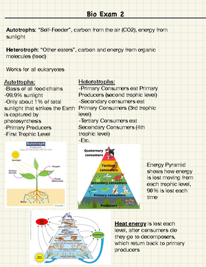 Imagine future - Natalie Mehl You’re Rich : Imagine you won the lottery ...