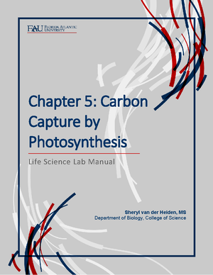 Scientific Method Worksheet example - Life Science Lab BSC1005L Name ...