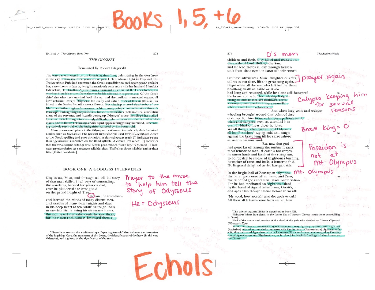 The Odyssey - Books 1, 5, 6 Annotations - Echols - Studocu