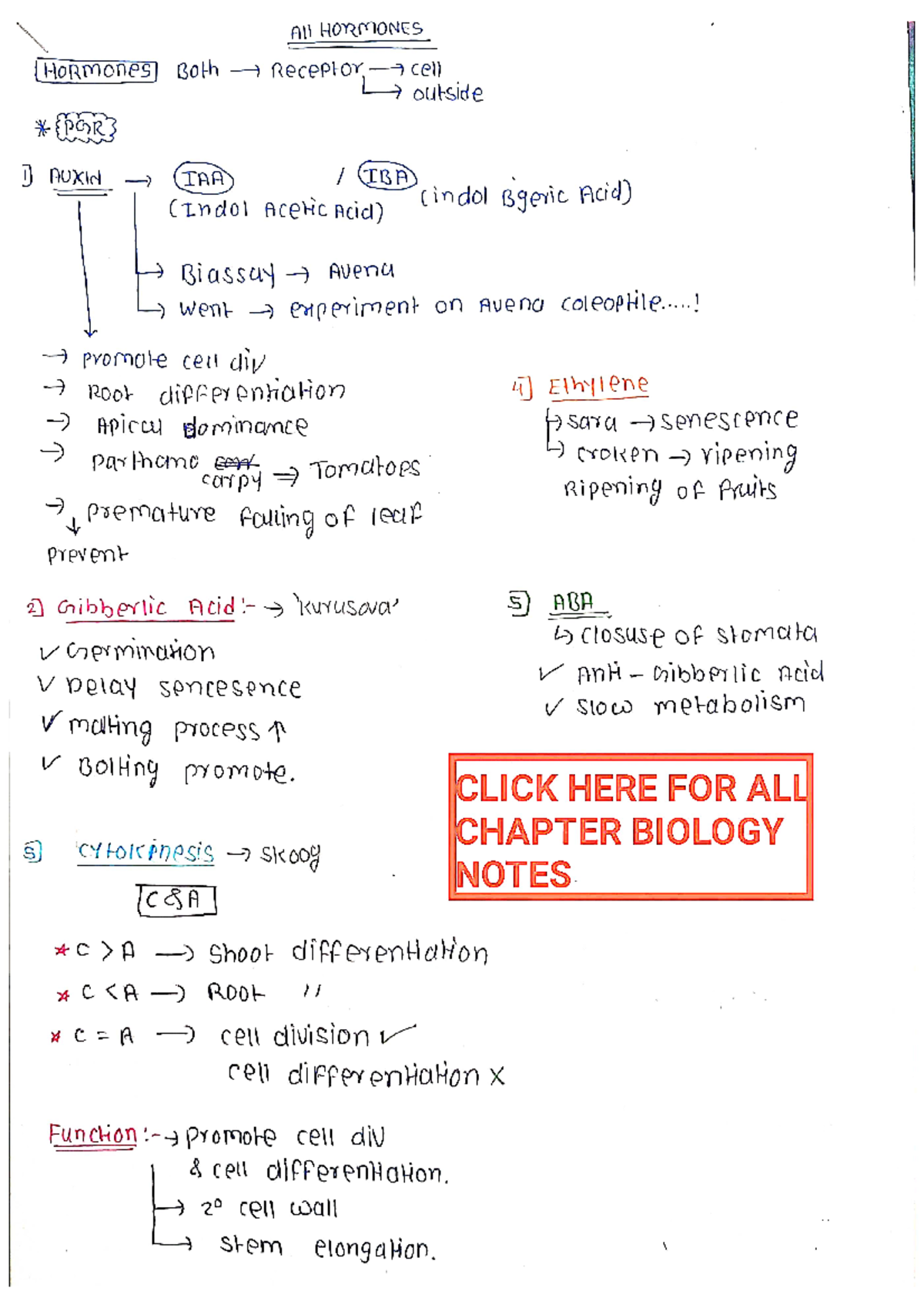 Hormones Notes Biology Studocu