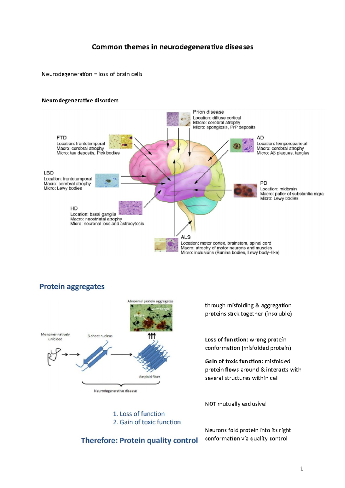 Neurodegeneration Lecture - Common themes in neurodegenerative diseases ...