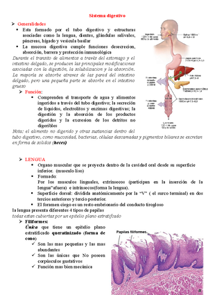 Indice de torg pavlov 10 - UNIVERSIDAD NACIONAL DE LA RIOJA Índice de ...