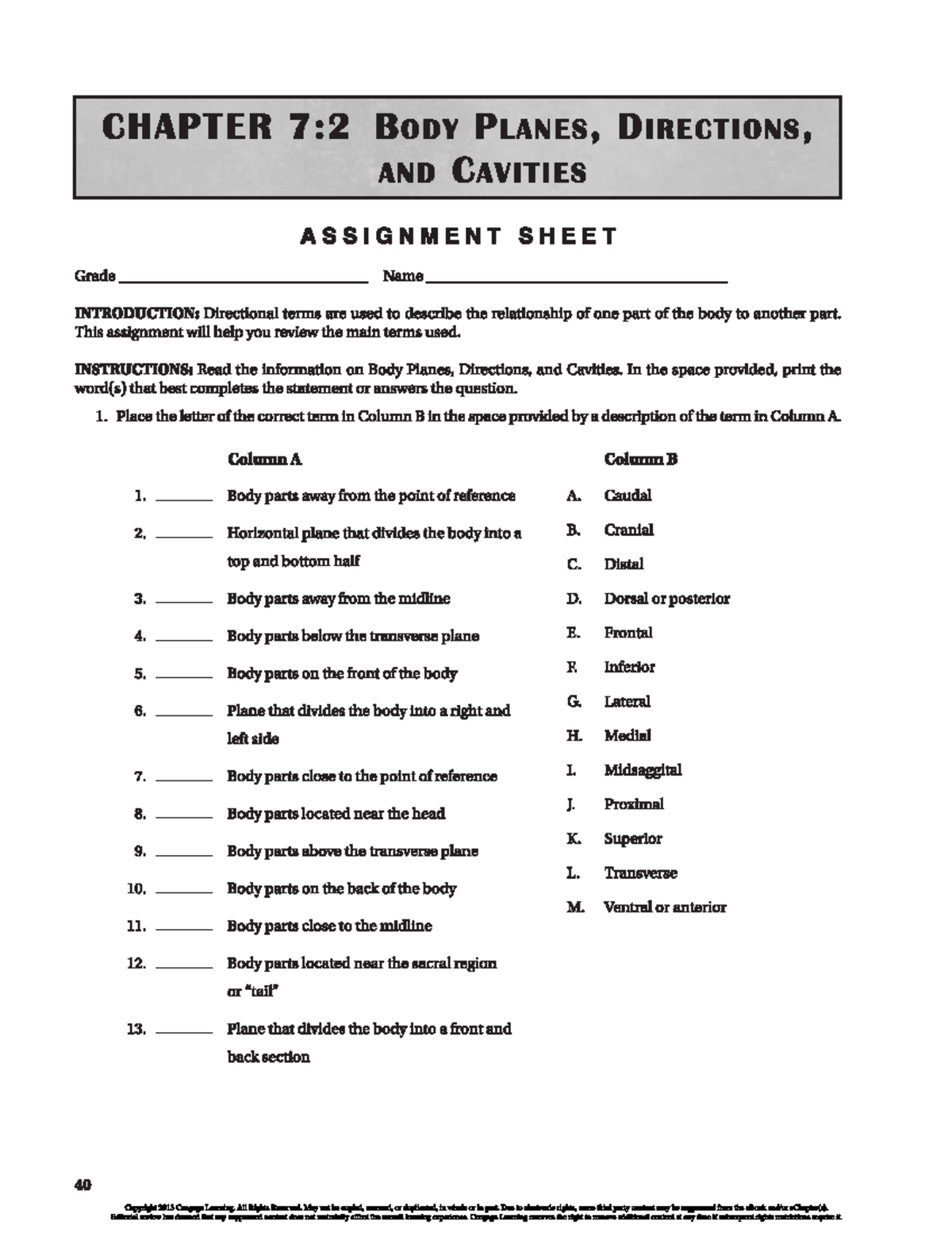 Body Planes Directions Terms - CHAPTER 7:2 BODY PLANES, DIRECTIONS, AND ...