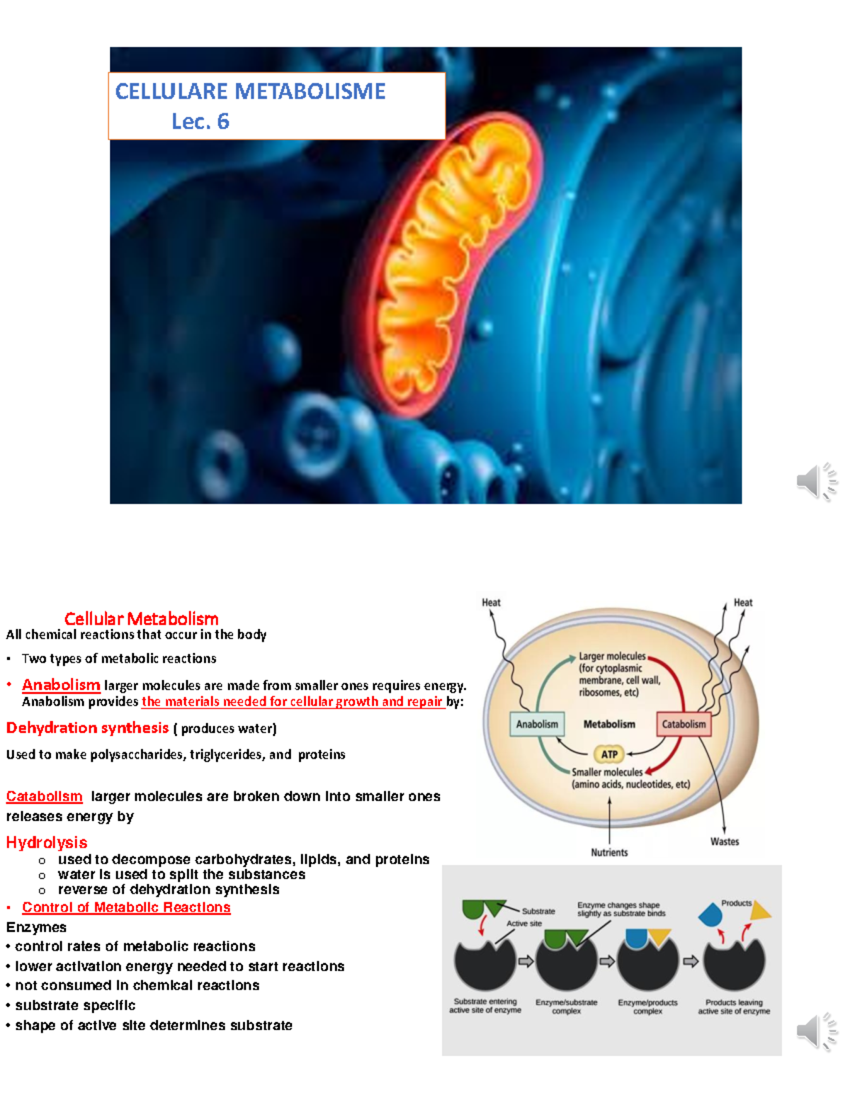 Cellular respiration - Medical Biology - CELLULARE METABOLISME Lec. 6 ...