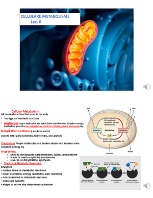 Class II Cavity Preparation Characteristics OF AN Ideal Class II ...