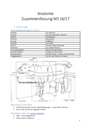 Anatomie & Physiologie der Tiere 2 - Anatomie und Physiologie der Tiere ...