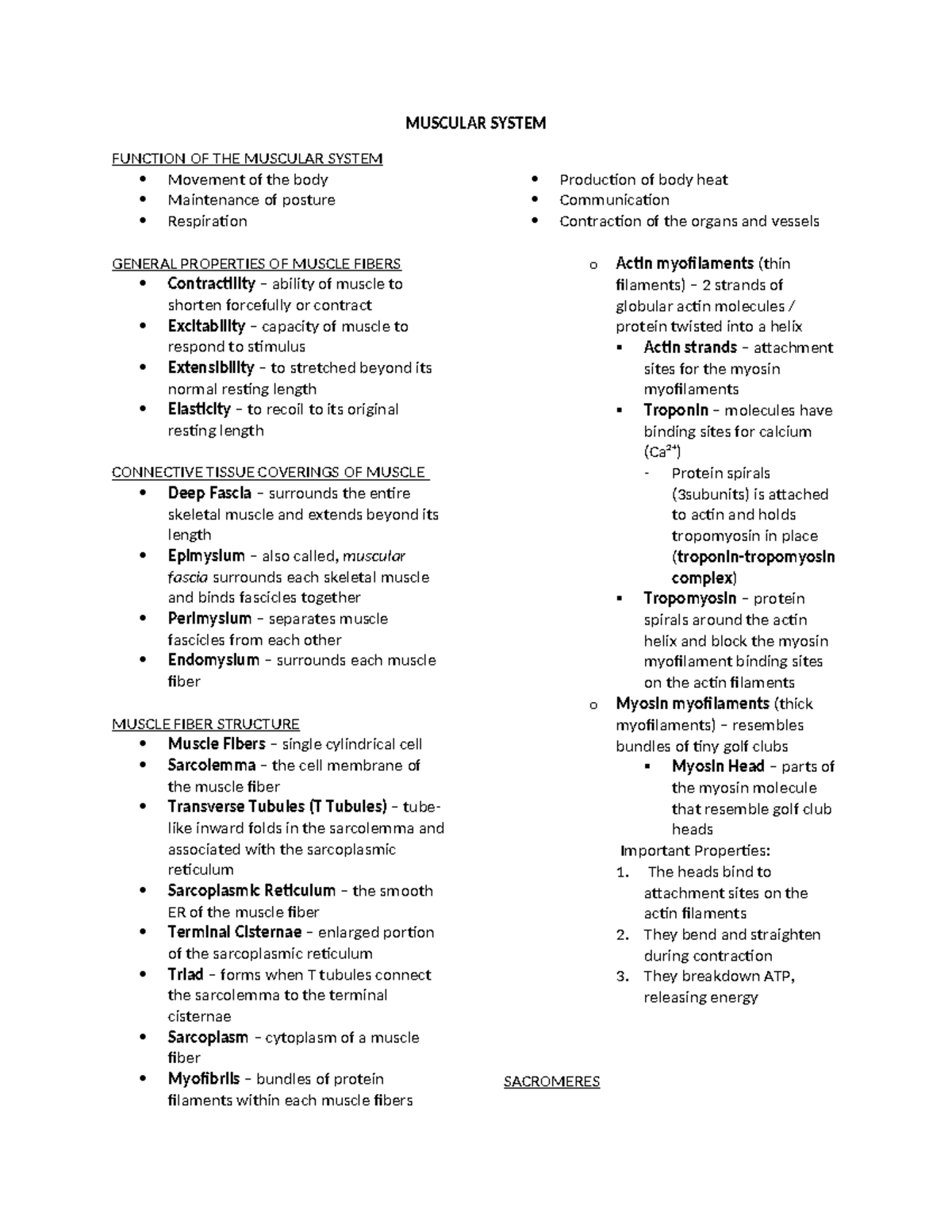 Anaphy Muscular System 1 - MUSCULAR SYSTEM FUNCTION OF THE MUSCULAR ...