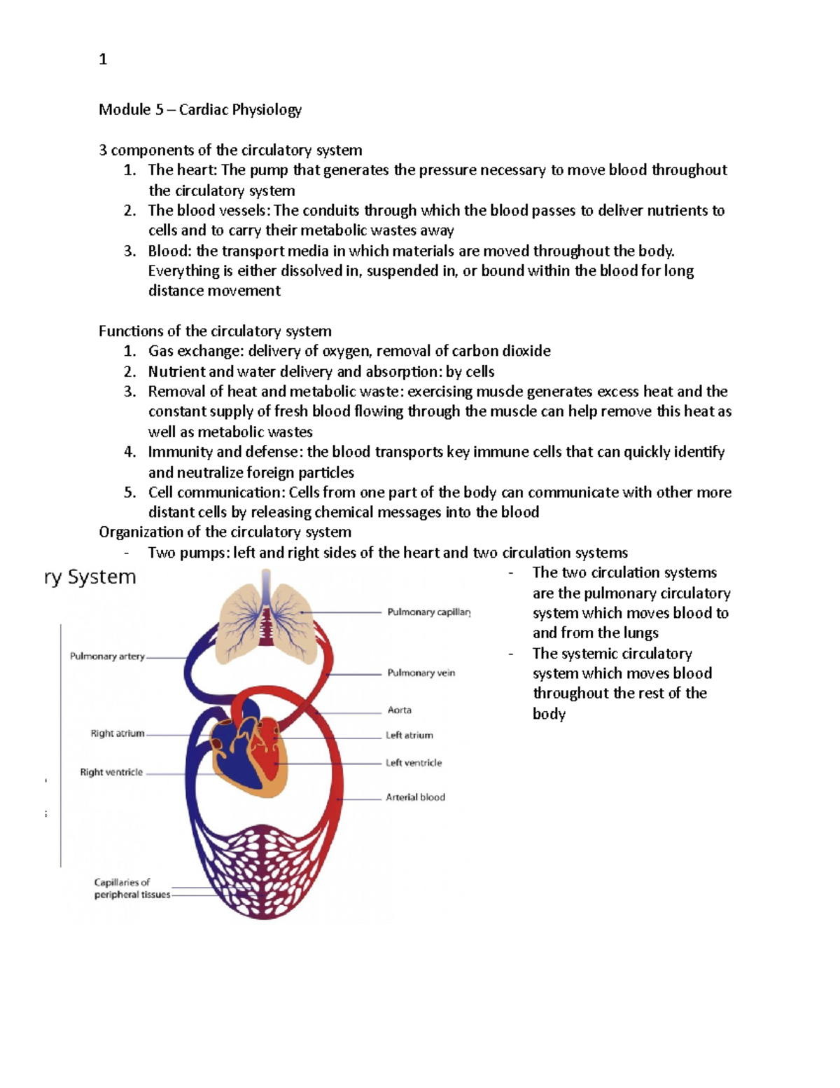 Module 5 - PHGY - Module 5 – Cardiac Physiology 3 components of the ...