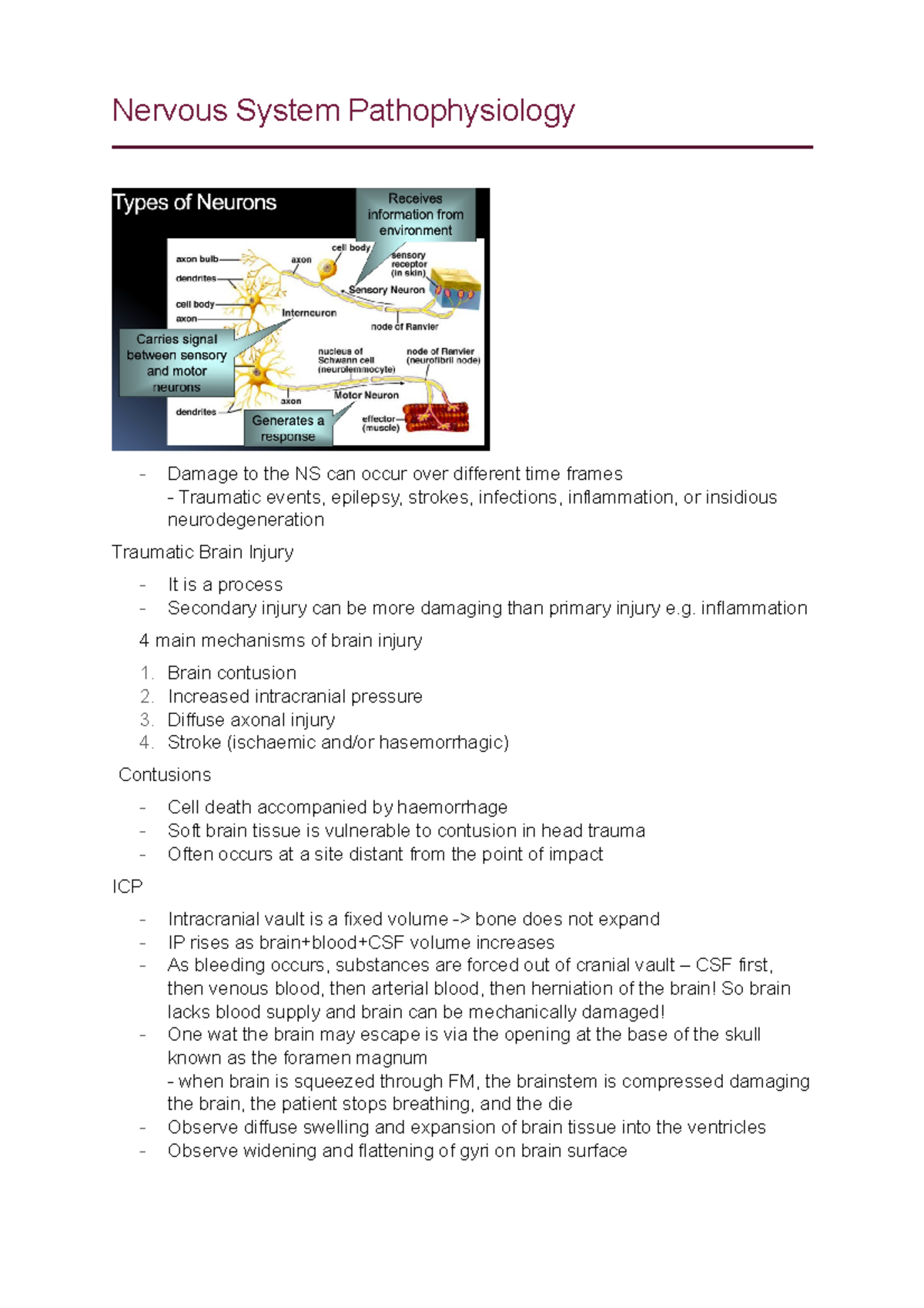 8-Nervous System Pathophysiology - Nervous System Pathophysiology ...