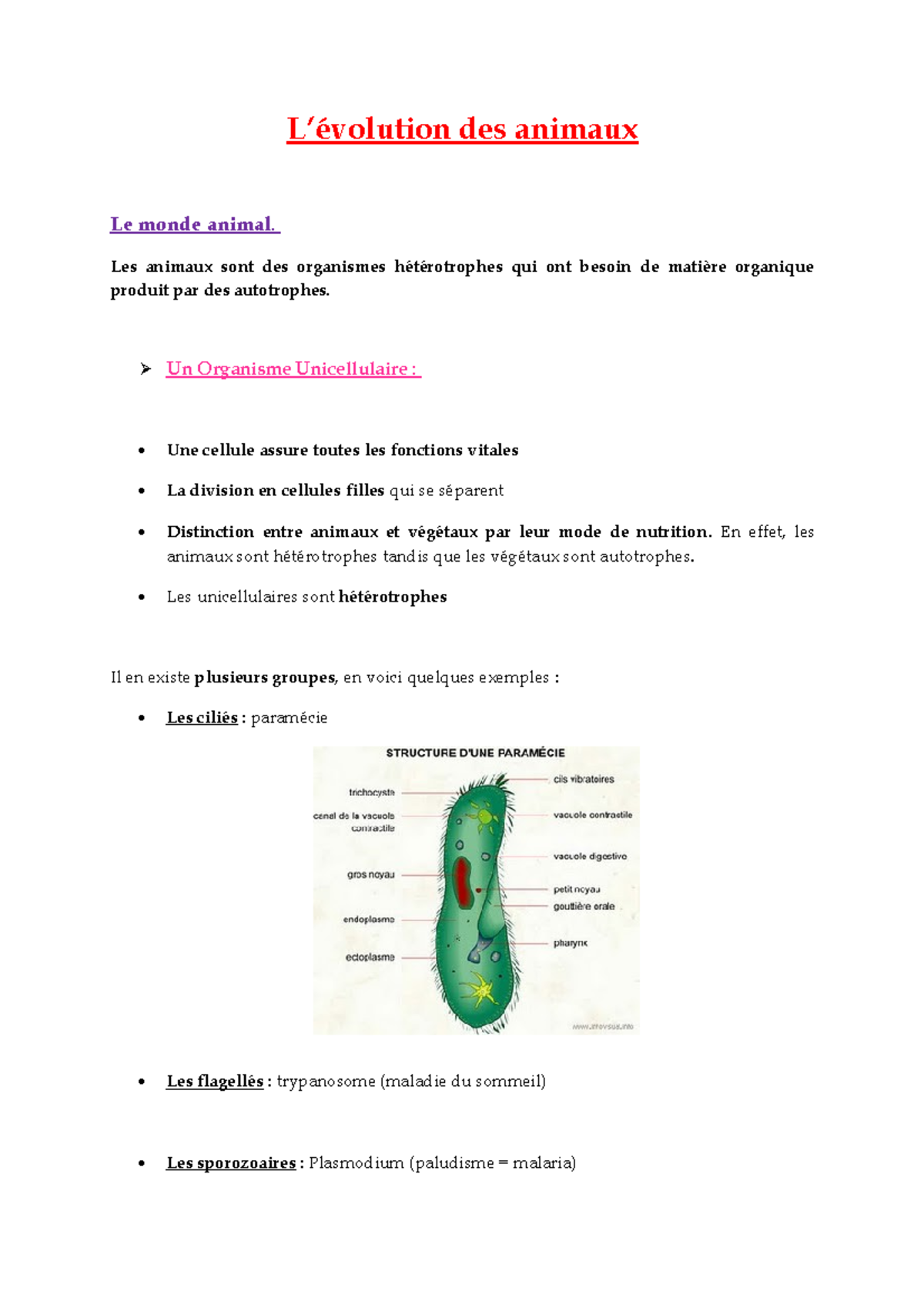 Evolution des animaux - Cours de l'université de Lille 3 - L’évolution ...