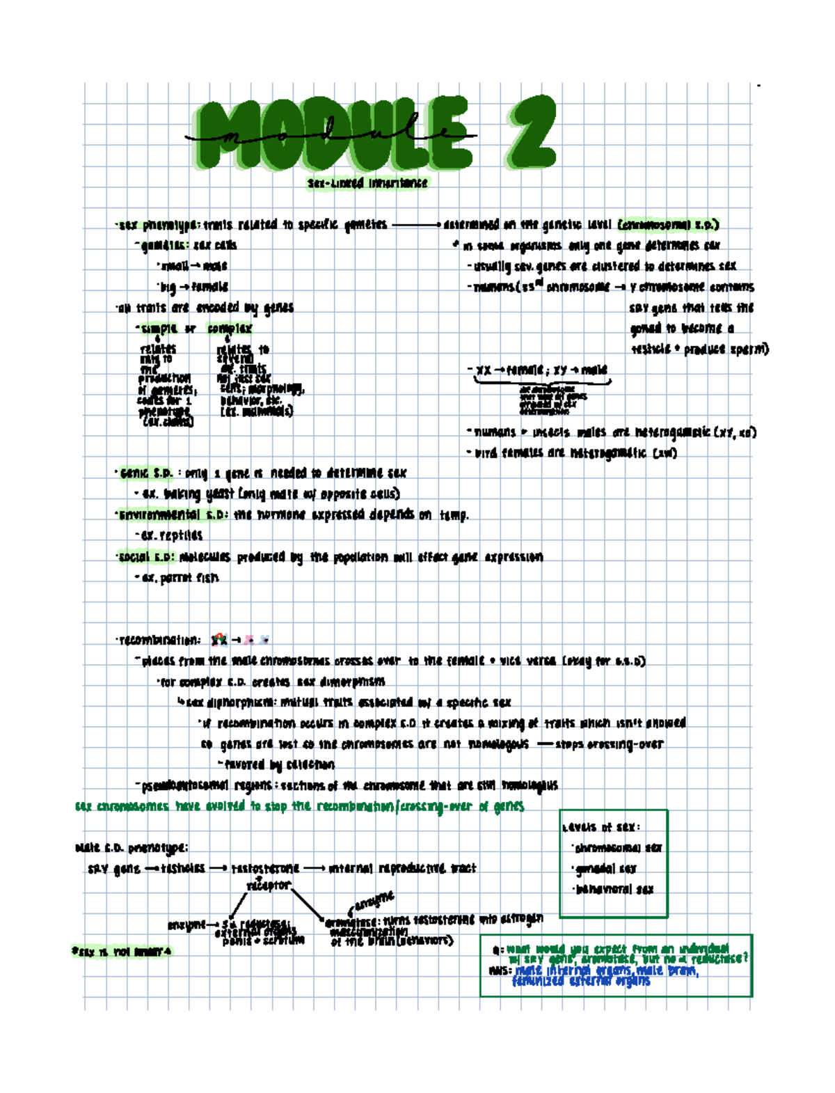Module 2 Lecture Notes (PP) - month 22 sexlinkedinheritance - Studocu