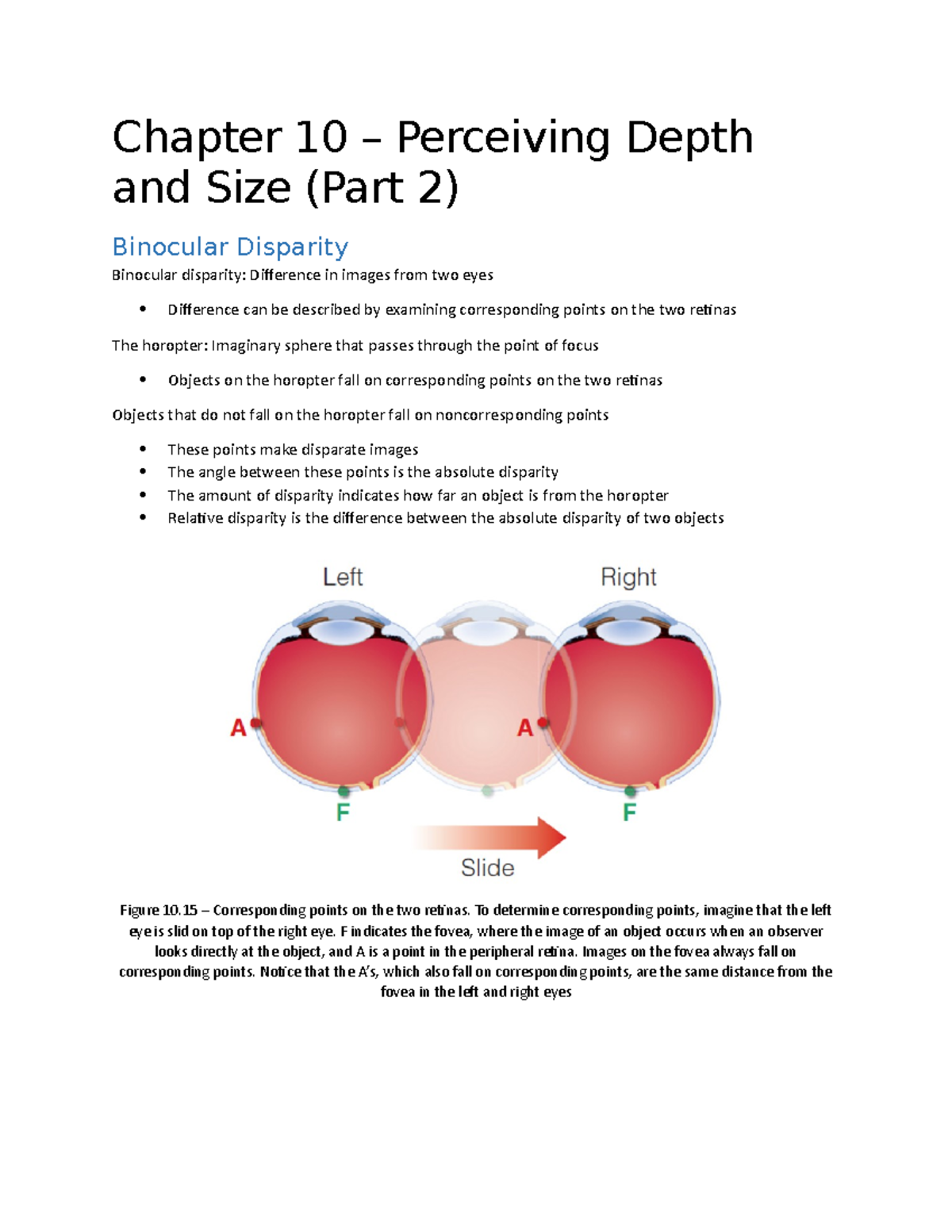 03-29-23 Chapter 10, Perceiving Depth and Size, Part 2 - Chapter 10 – Perceiving Depth and Size ...