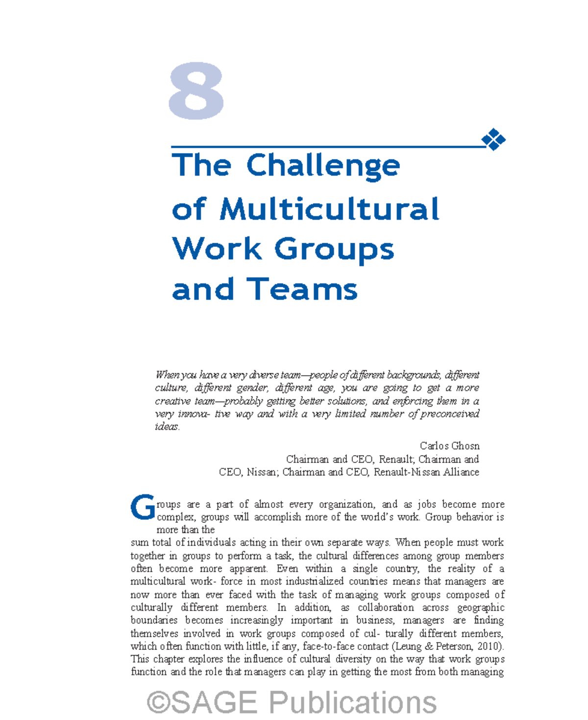 60319 Chapter 8 - G 8 The Challenge of Multicultural Work Groups and ...
