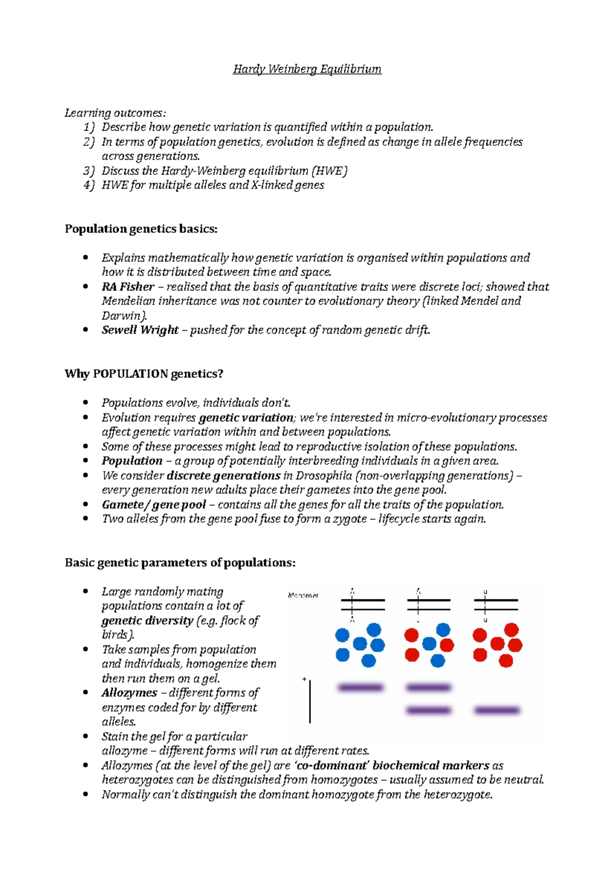 GEN 16 Population Genetics I - Hardy Weinberg Equilibrium Learning ...