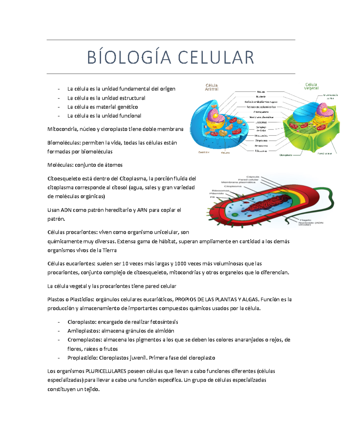 Bíología Celular Resumen - BÕOLOGÕA CELULAR La cÈlula es la unidad fundamental del origen La ...