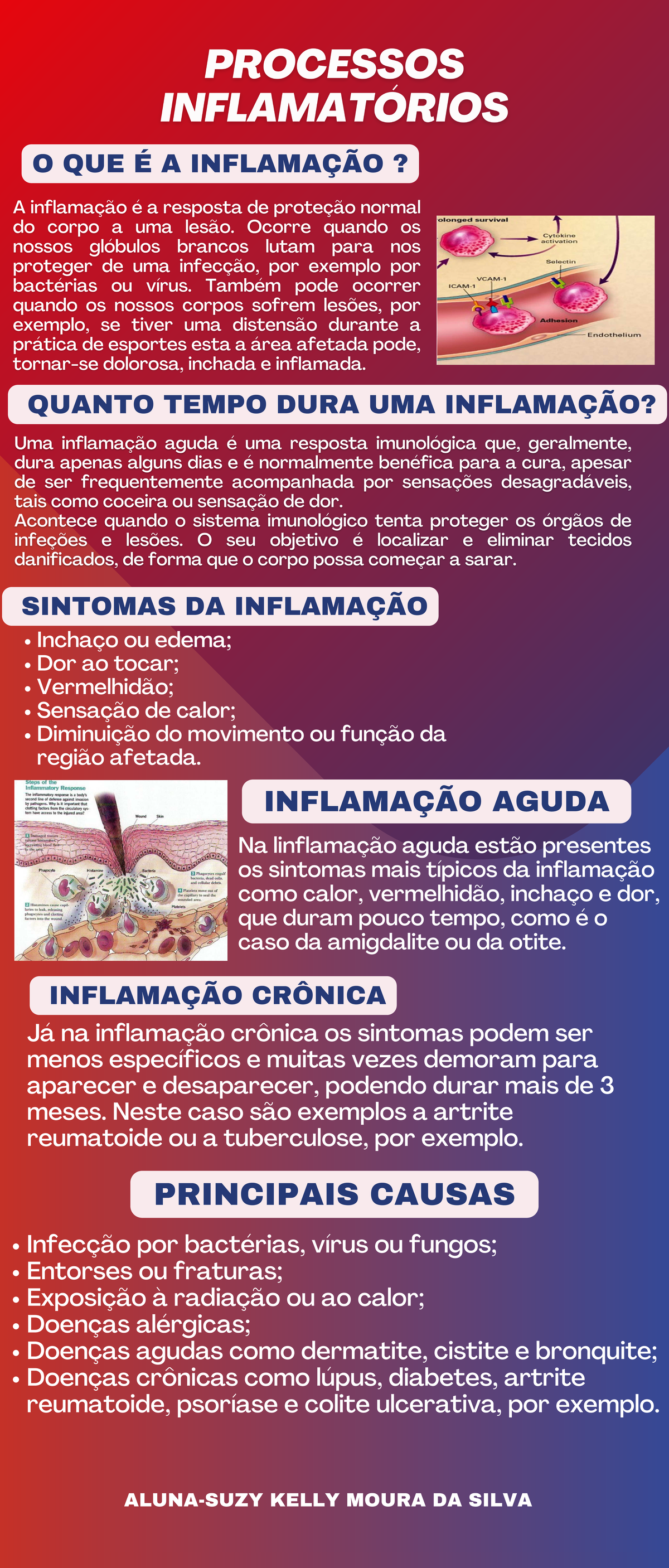 Processos inflamatórios - Inchaço ou edema; Dor ao tocar; Vermelhidão ...