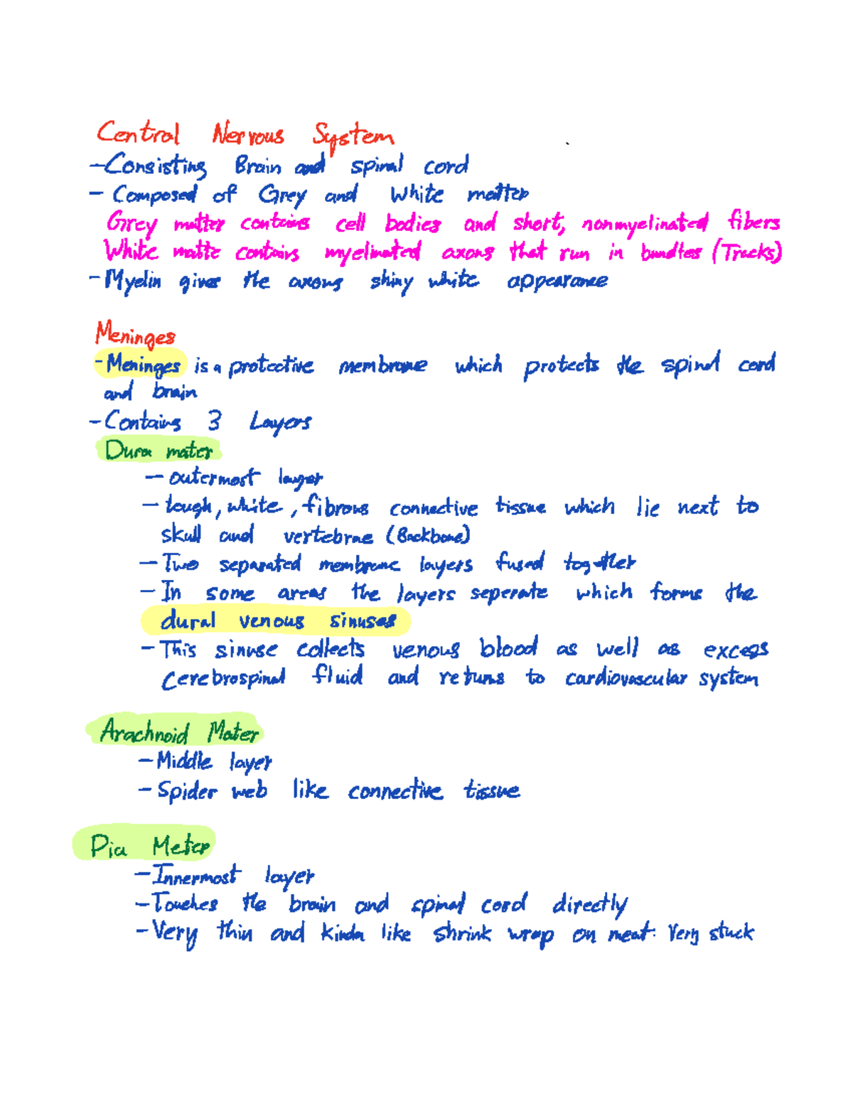 L6 Notes - Central Nervous System Consisting Brain and spinal cord ...