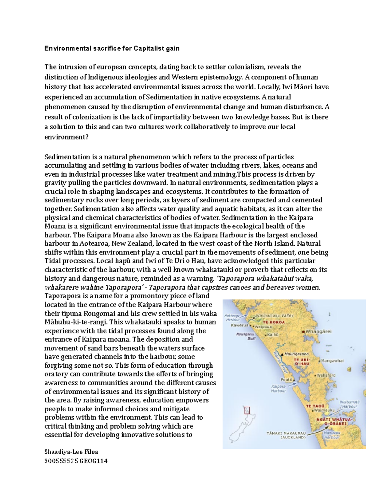 GEOG114 Sustainability report - Environmental sacrifice for Capitalist ...