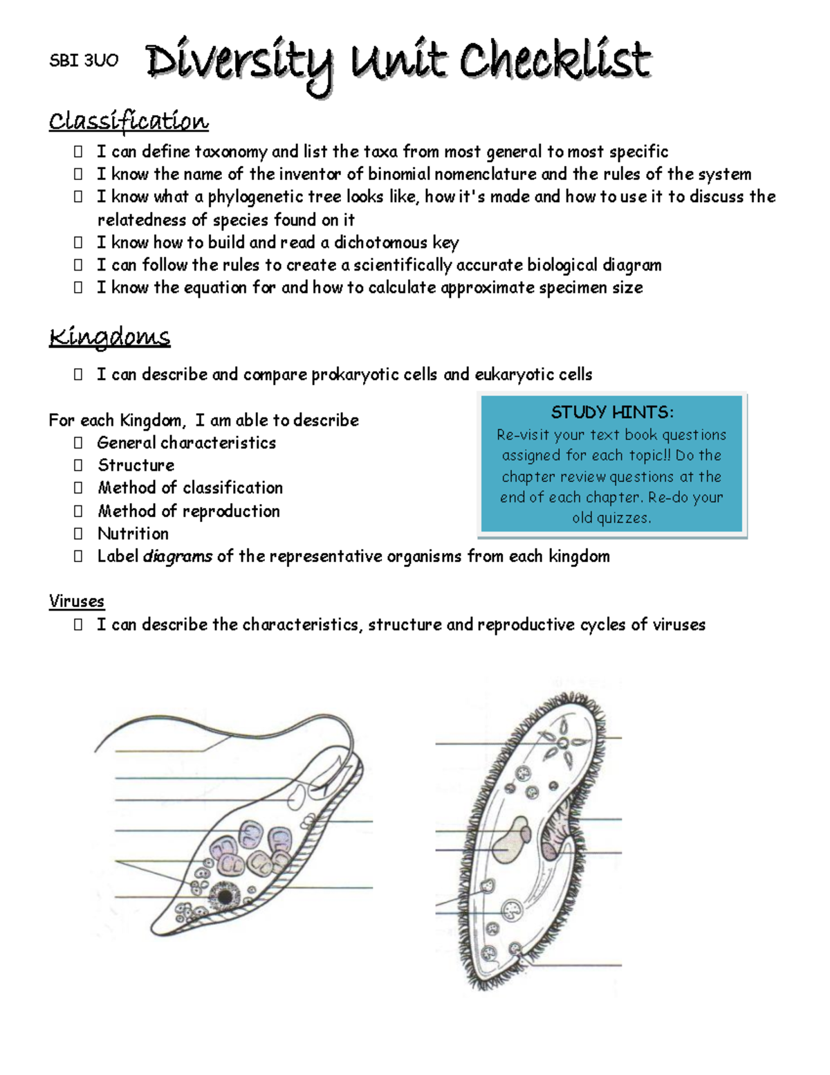 Review Diversity Checklist - SBI 3UO Classification ฀ I can define ...