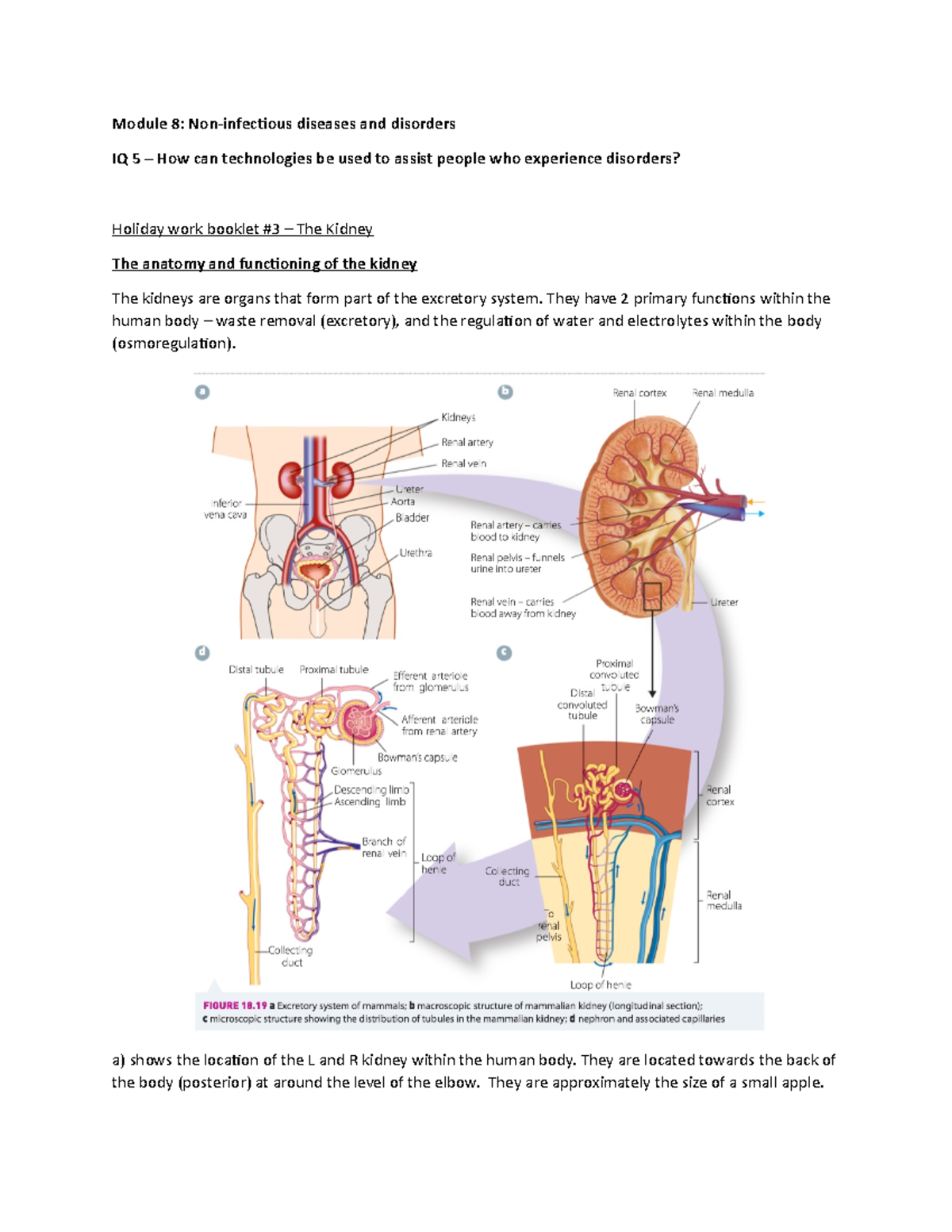 8.5.1 c Kidney Worksheet - Module 8: Non-infectious diseases and ...