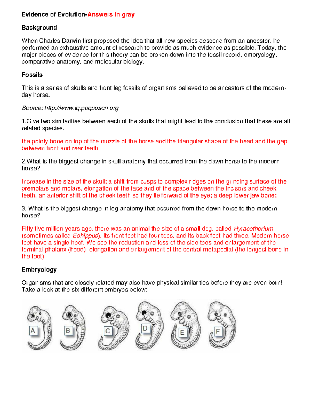 Evidence of evolution answers - Evidence of Evolution-Answers in gray ...