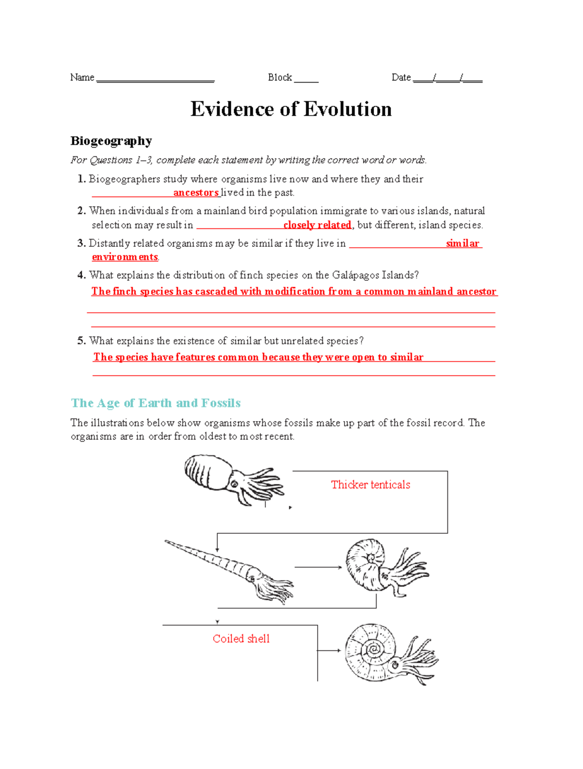 Evidence of Evolution - Name ________________________ Block _____ Date ...