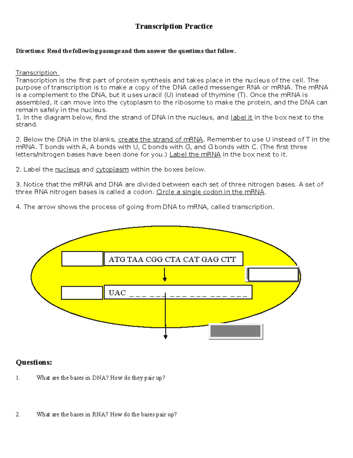 Transcription Reading Worksheet - Transcription Practice Directions ...