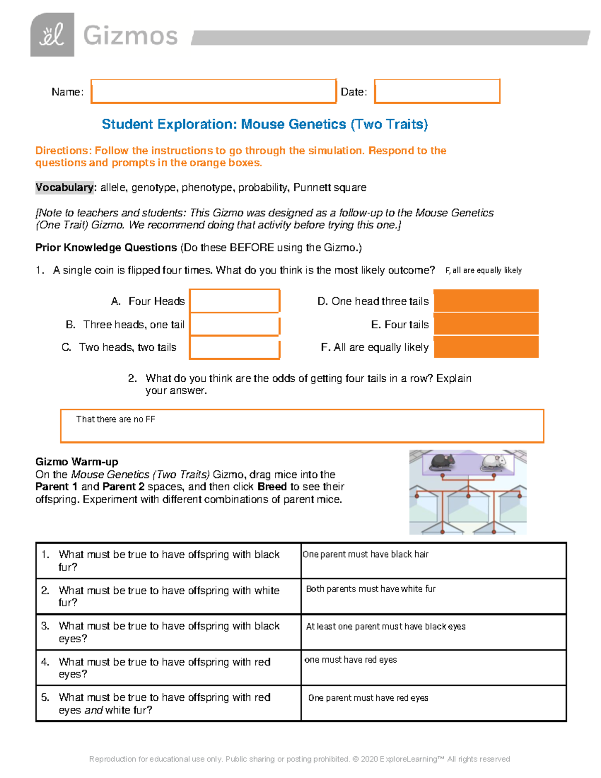 Mouse Genetics (Two Traits) - Name: Date: Student Exploration: Mouse ...