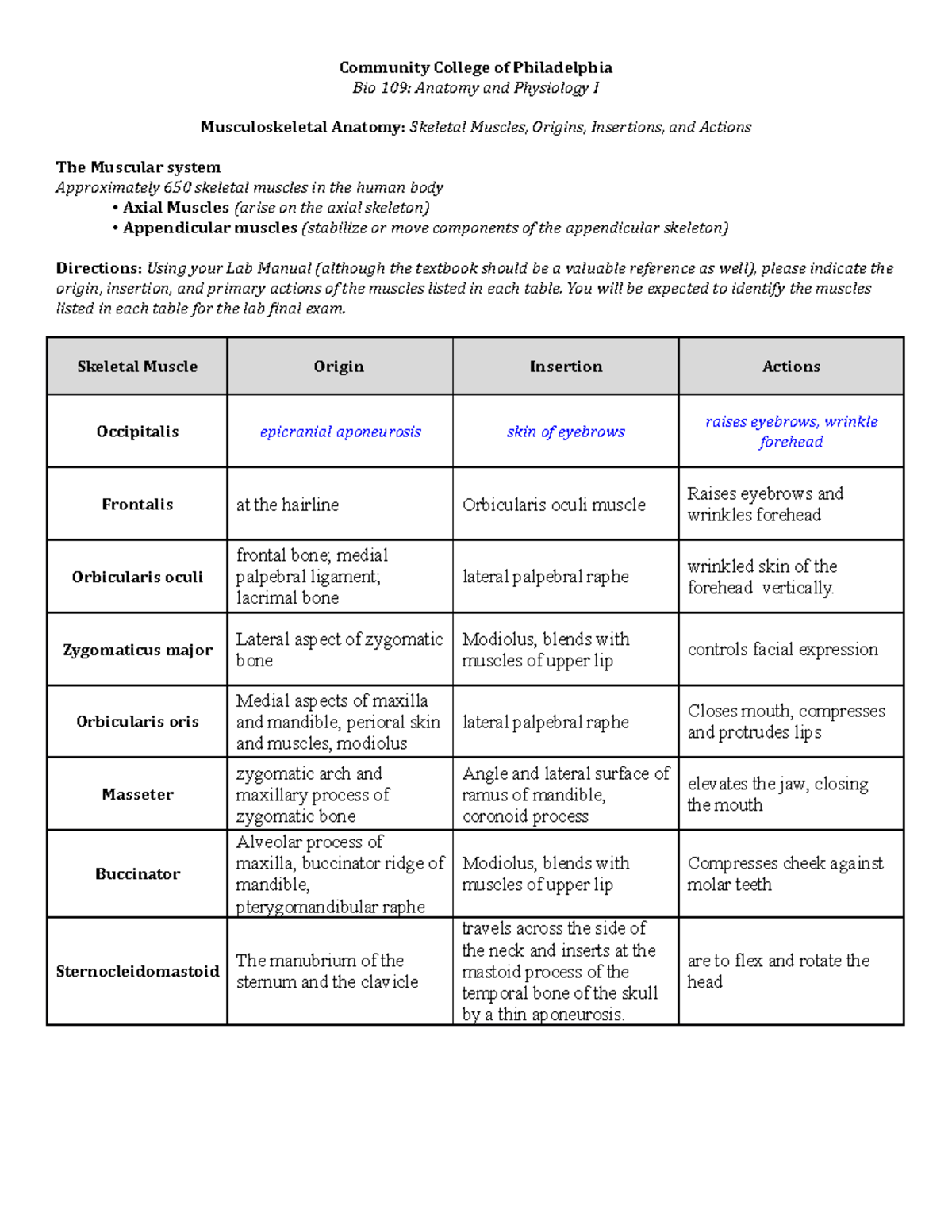 Bio+109+Online+MS%233+Skeletal+Muscle+Origin%2C+Insertion%2C+and ...