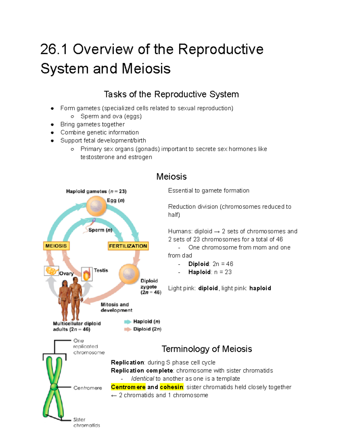 Ch 26 The Reproductive System - 26 Overview of the Reproductive System ...