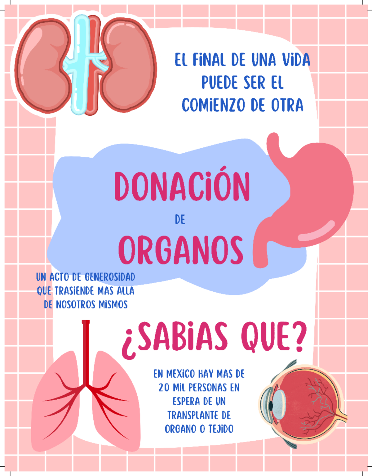Cartel de donacion de organos - Sistemas De Salud - El FiNAL DE UNA ...