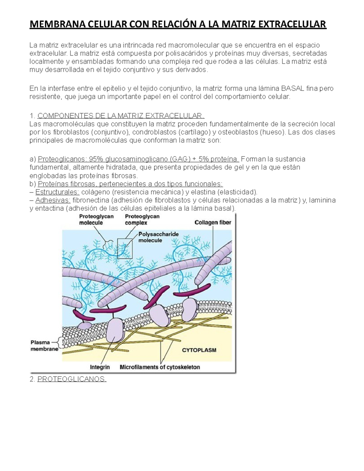 DOC DAAJ - Resumen- Matriz Extracelular - MEMBRANA CELULAR CON RELACIÓN ...