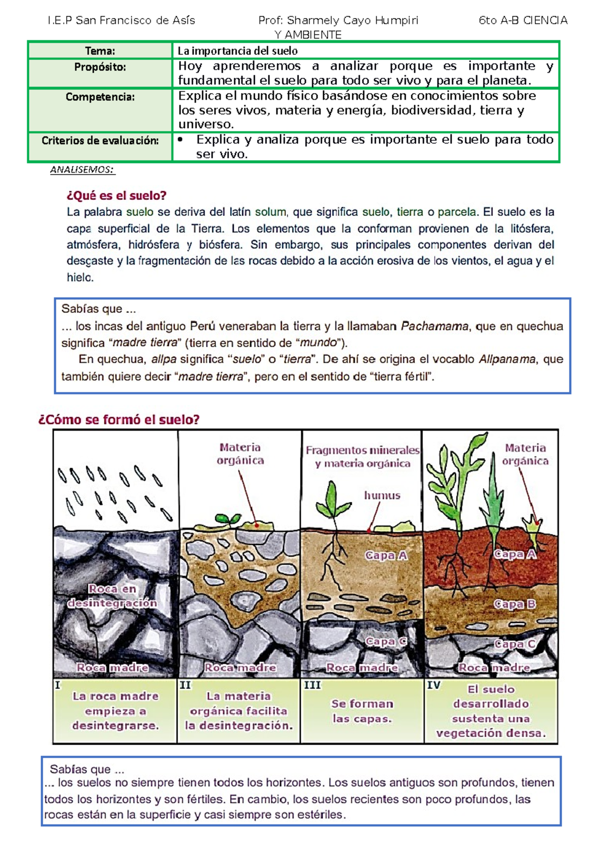 El sulo fichas - mknrfl - Y AMBIENTE Tema: La importancia del suelo ...