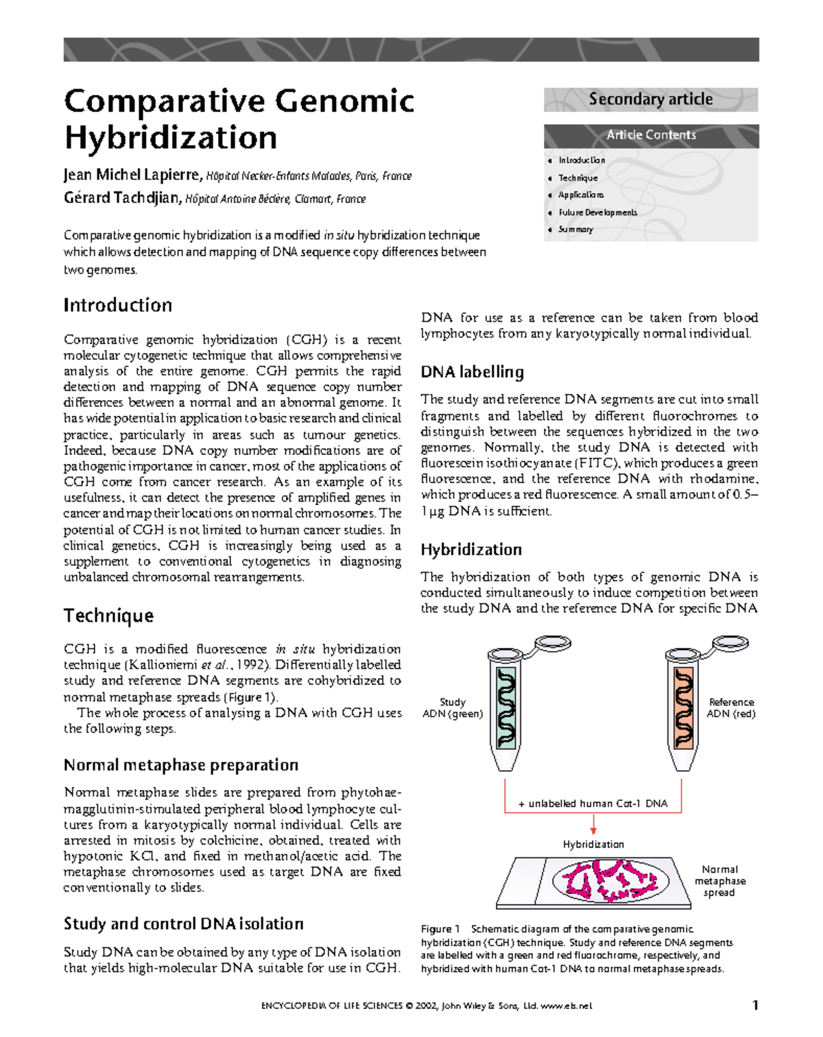 Cgh els - Comparative Genomic Hybridization Jean Michel Lapierre ...