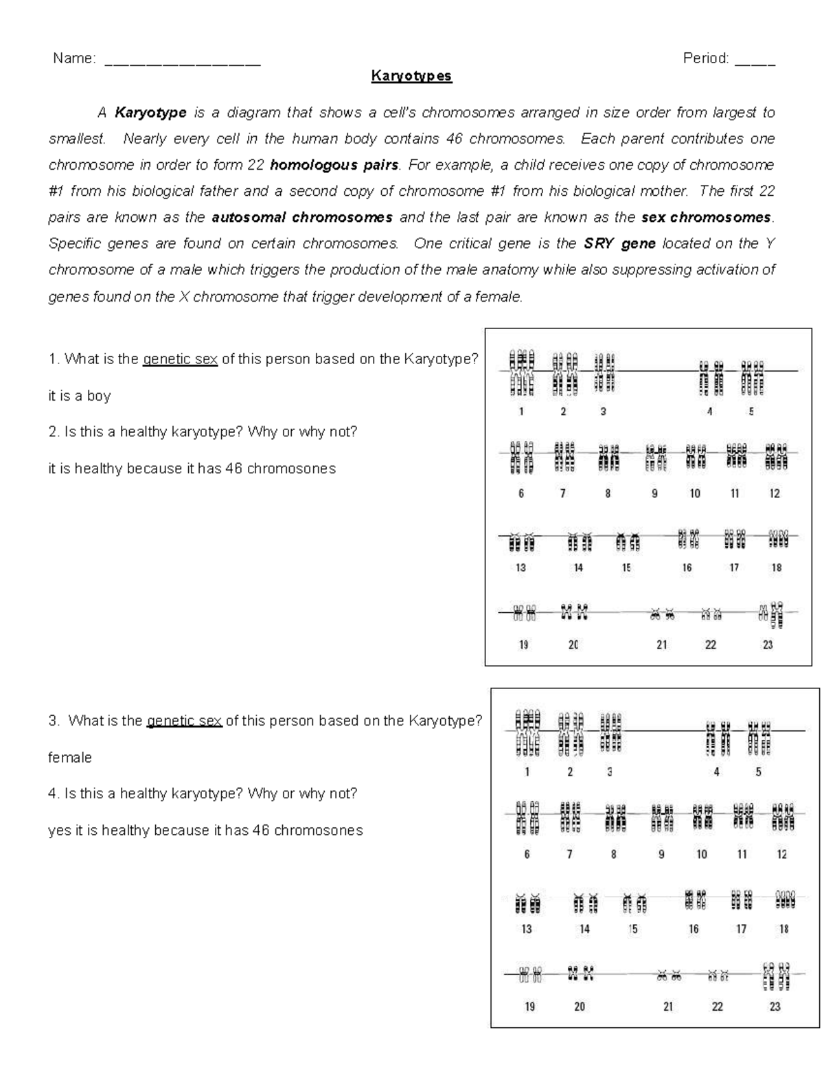 Copy of Ianis Dracsan - Virtual Karyotype Activity on 2023-03-15 13 47 ...