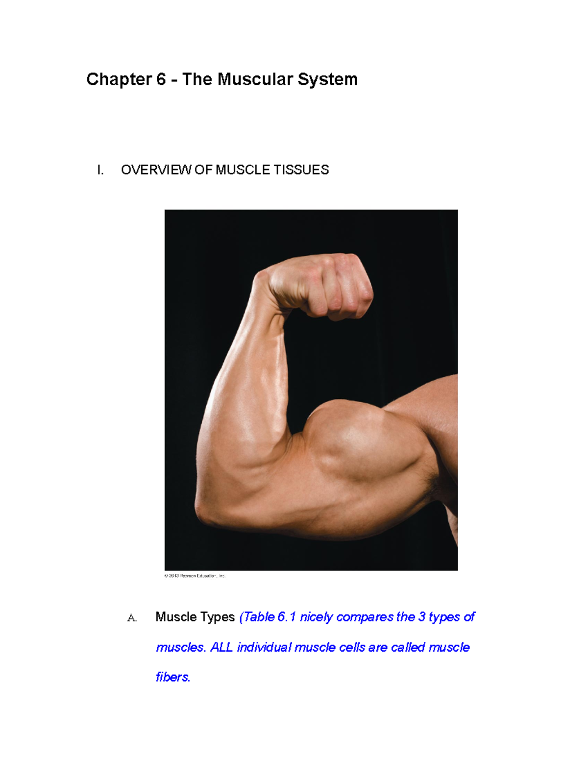 UTF-8''c6lec-136%282%29%20%282%29 - Chapter 6 - The Muscular System I ...
