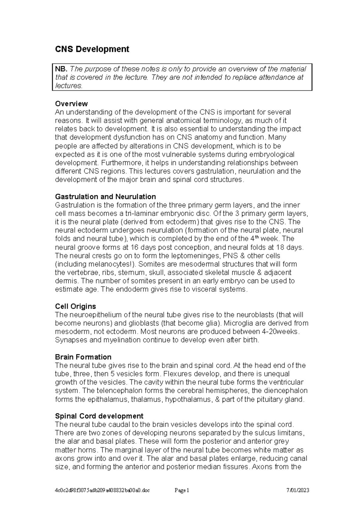 Neurodevelopment 2020 - CNS Development NB. The purpose of these notes ...