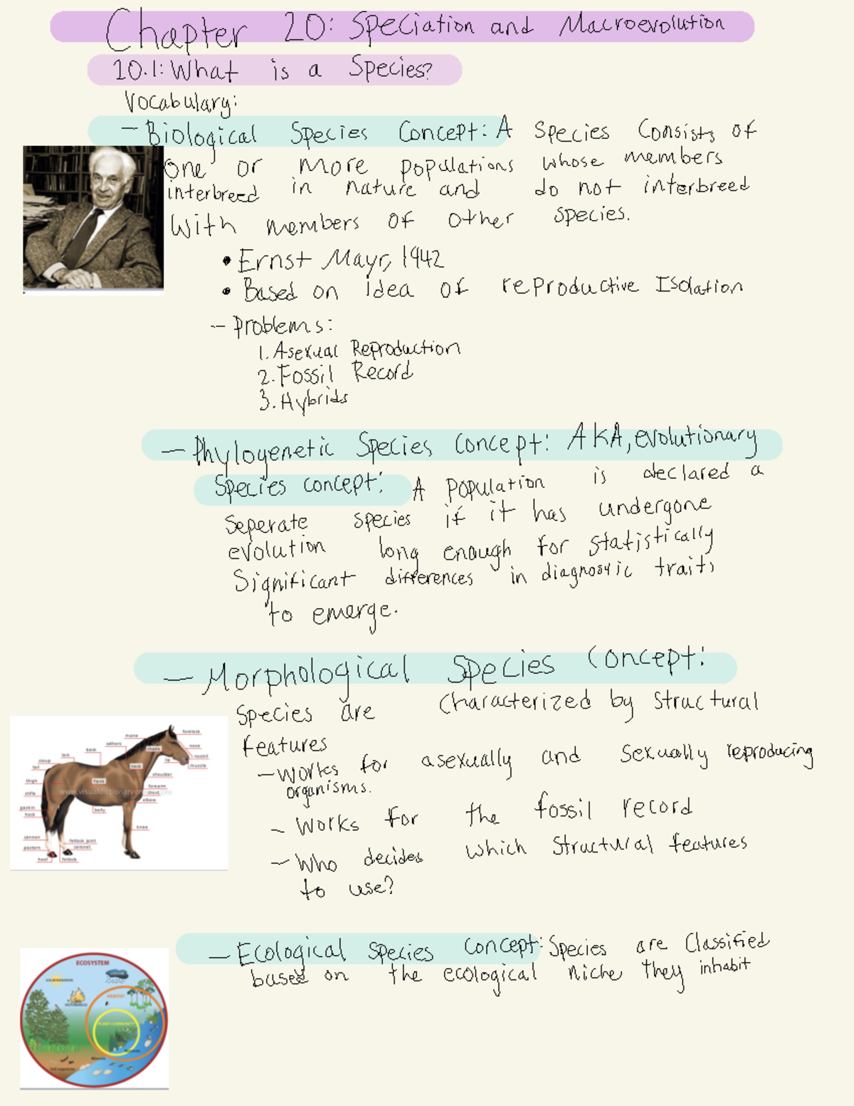 General biology notes - Chapter 20 : speciation and Macroevolution ...