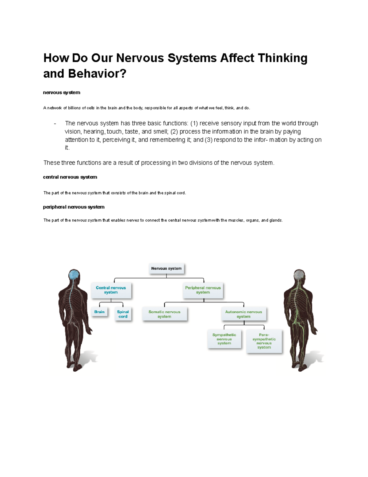 Ch. 2 Notes - How Do Our Nervous Systems Affect Thinking and Behavior ...