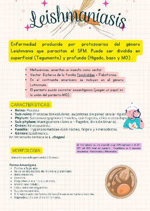 Toxoplasmosis Gondii - Br. Estévez Laura Br. Franco Daniela Br. Galea ...