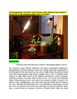 DDS Capsules & Tablets - CAPSULES capsula - small container solid ...