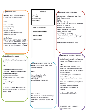 EXAM 1 Anatomy Lecture Learning Objectives - EXAM 1 ANATOMY LECTURE ...