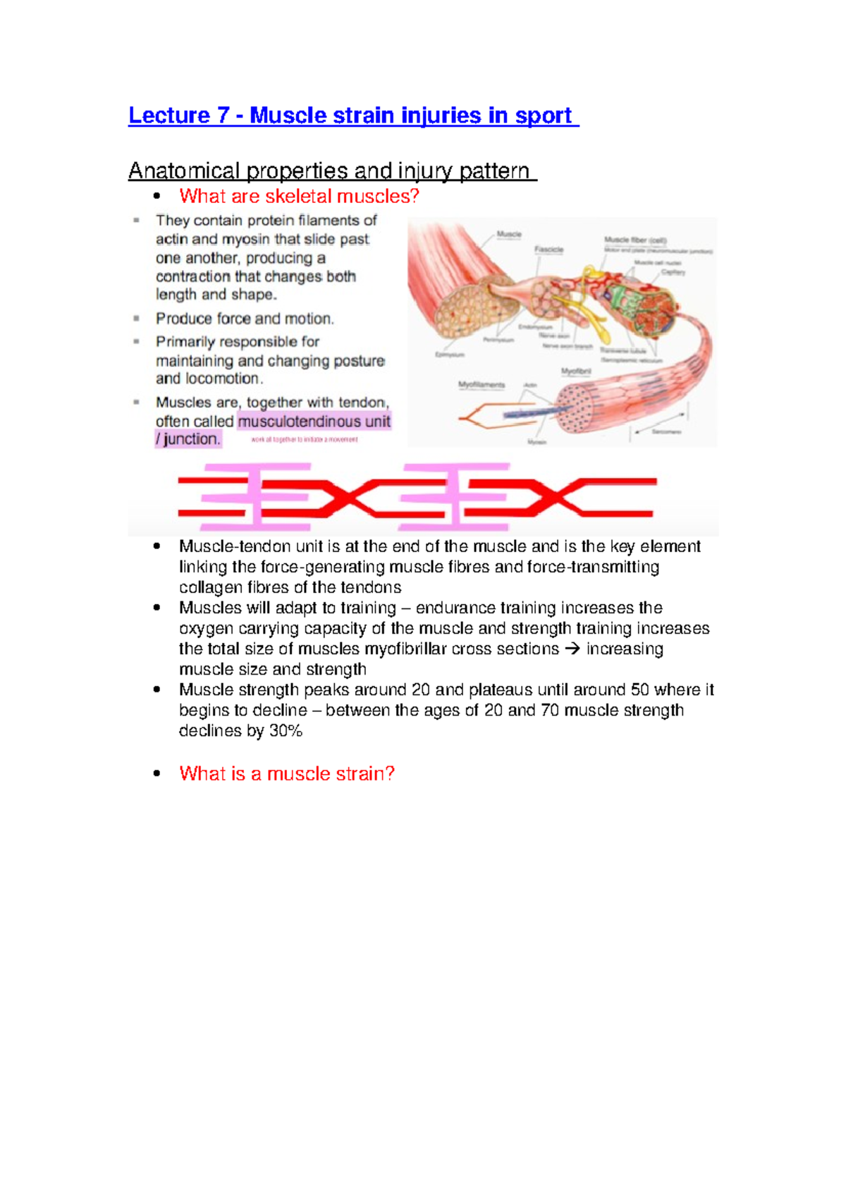 Week 7 - revision notes - Lecture 7 Muscle strain injuries in sport ...