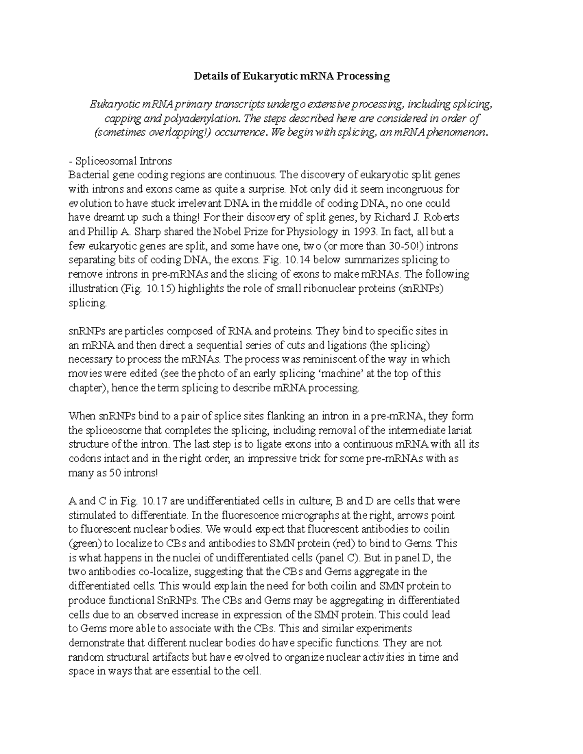 Details of Eukaryotic m RNA Processing - Details of Eukaryotic mRNA ...