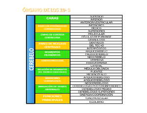Neumotide-aerosol-Prospecto - NEUMOTIDE FLUTICASONA PROPIONATO ...