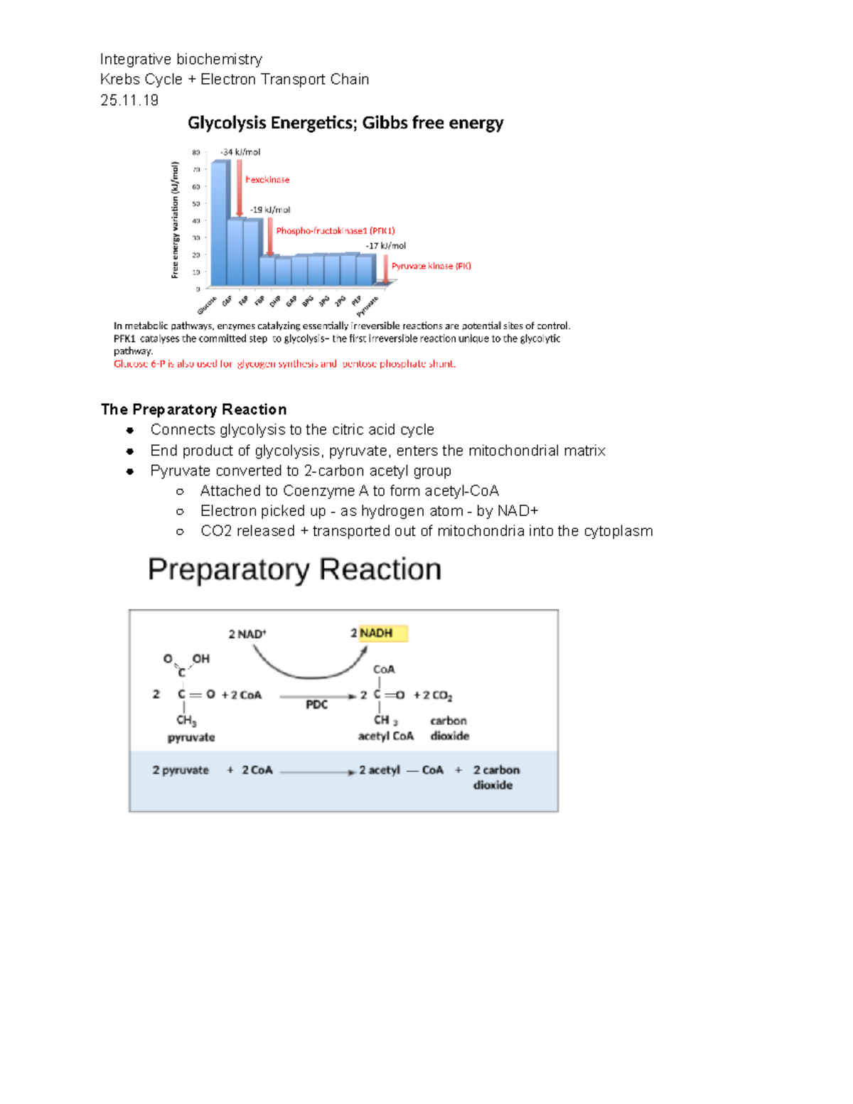 Krebs Cycle and Electron Transport Chain - The Preparatory Reaction ...