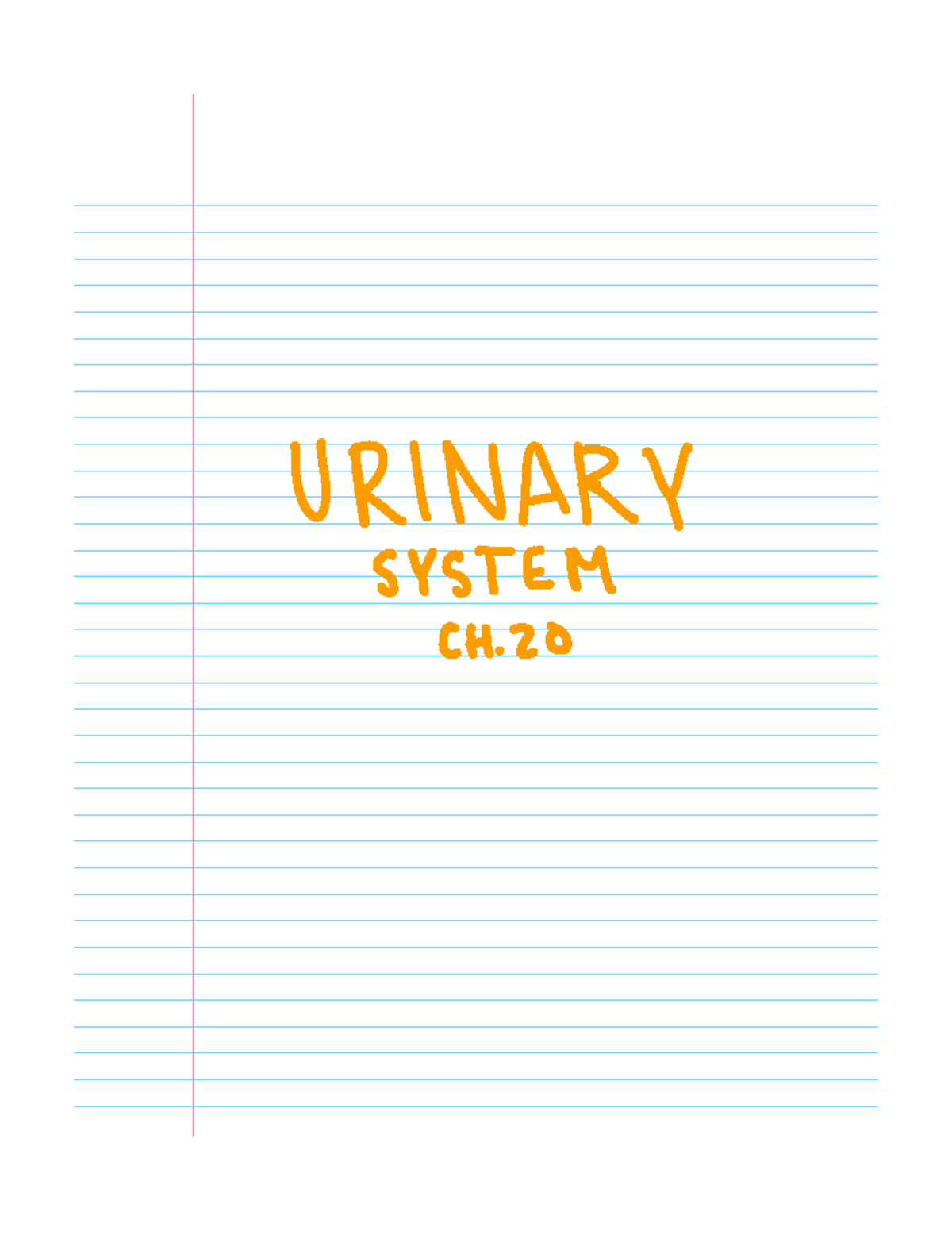 Ch.20 notes - URINARY SYSTEM CH 20 20 Overview of the Urinary system a ...