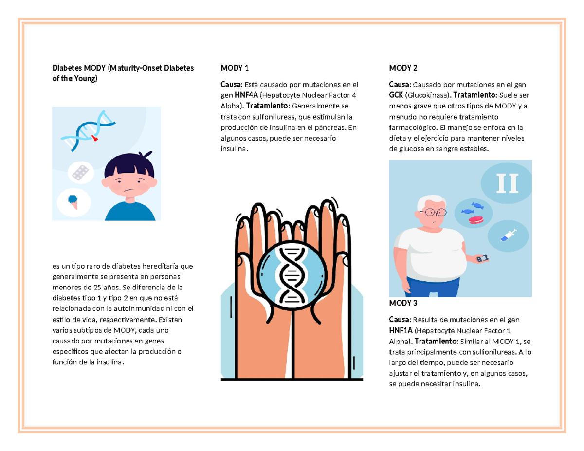 Diabetes MODY - Resumen Genética - Diabetes MODY (Maturity-Onset ...