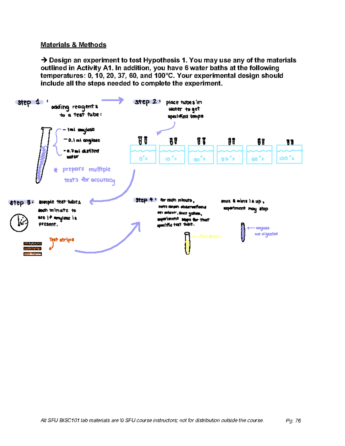 Flow chart - All SFU BISC101 lab materials are © SFU course instructors ...