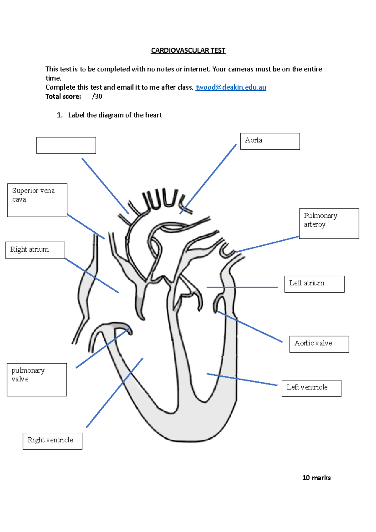 Cardiovascular TEST - practise sheets - CARDIOVASCULAR TEST This test ...
